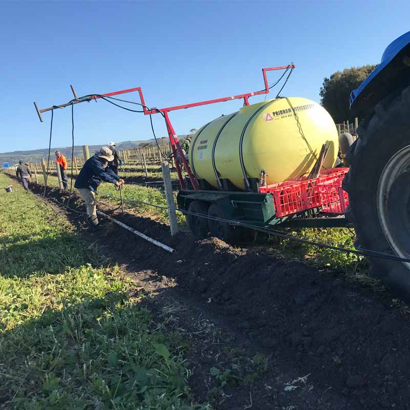 Vineyard Planting for Success - Pridham Viticulture